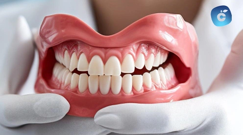 ¿Cuántos dientes tiene el ser humano? Descubre la verdad - Cleardent